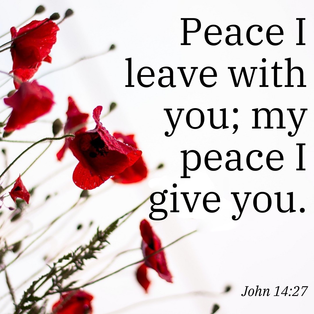 Peace - Catholic Diocese of Broken Bay