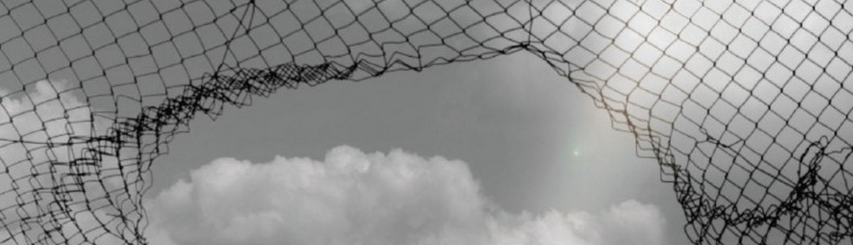 Social Justice Sunday - Catholic Diocese of Broken Bay