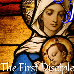 8.3 Discipleship - Catholic Diocese of Broken Bay