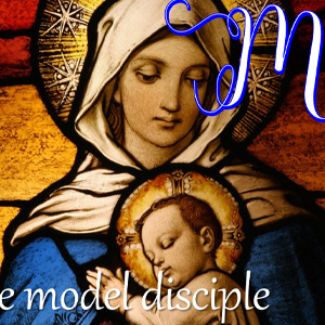 8.8 Mary the Model Disciple - Catholic Diocese of Broken Bay