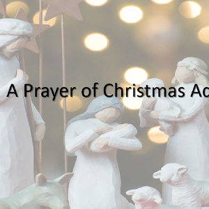 7.7 Advent and Christmas - Catholic Diocese of Broken Bay