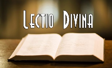Lectio Divina - Catholic Diocese of Broken Bay