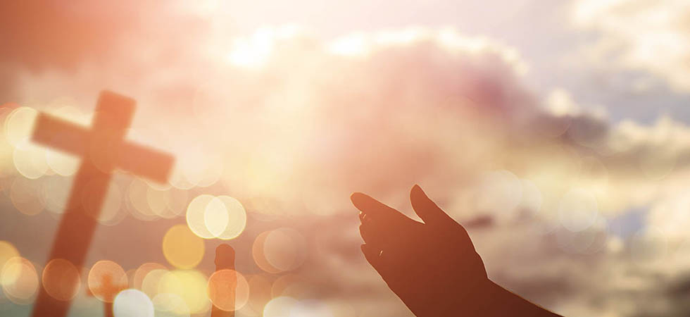 Priest, professor Fr Shane Mackinlay named Bishop of Sandhurst ...