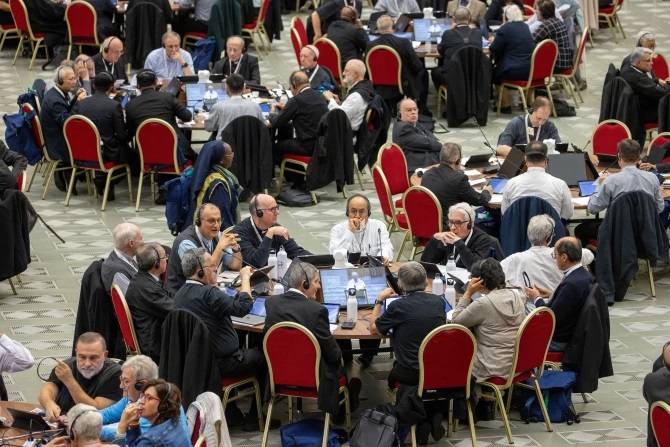 Synod on Synodality Week 1 & 2 Report - Catholic Diocese of Broken Bay